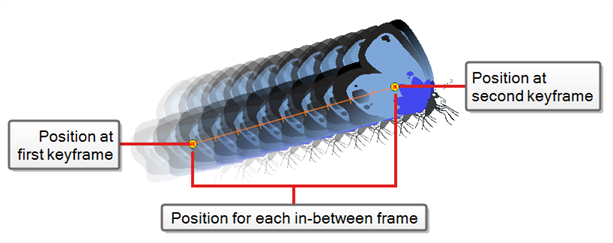 Harmony 21 Advanced Documentation: How to Position and Animate Layers