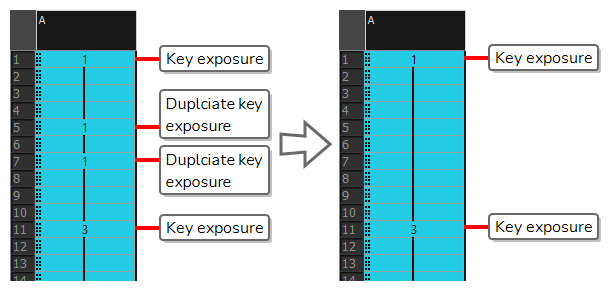 Harmony 21 Essentials Documentation: Removing Duplicate Key Exposures