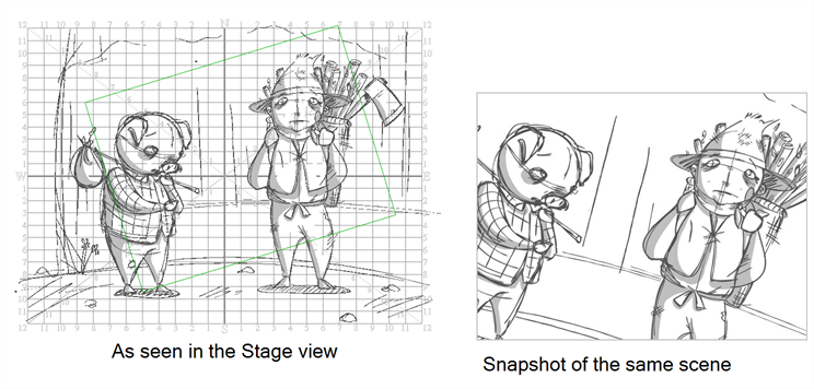Storyboard Pro 25 Online Help: About the Camera